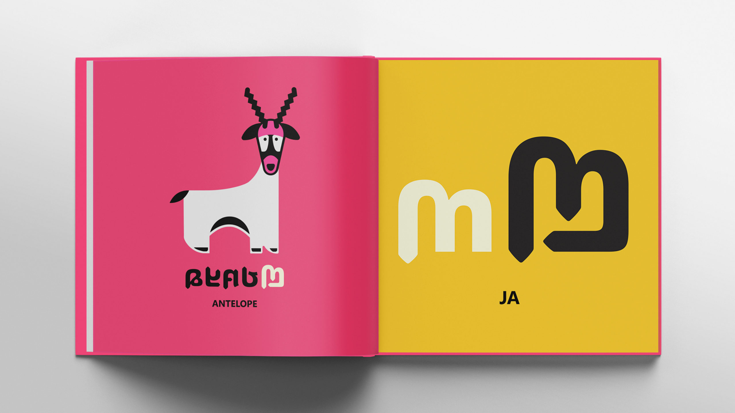 ADLaM Alphabet Book - Mook